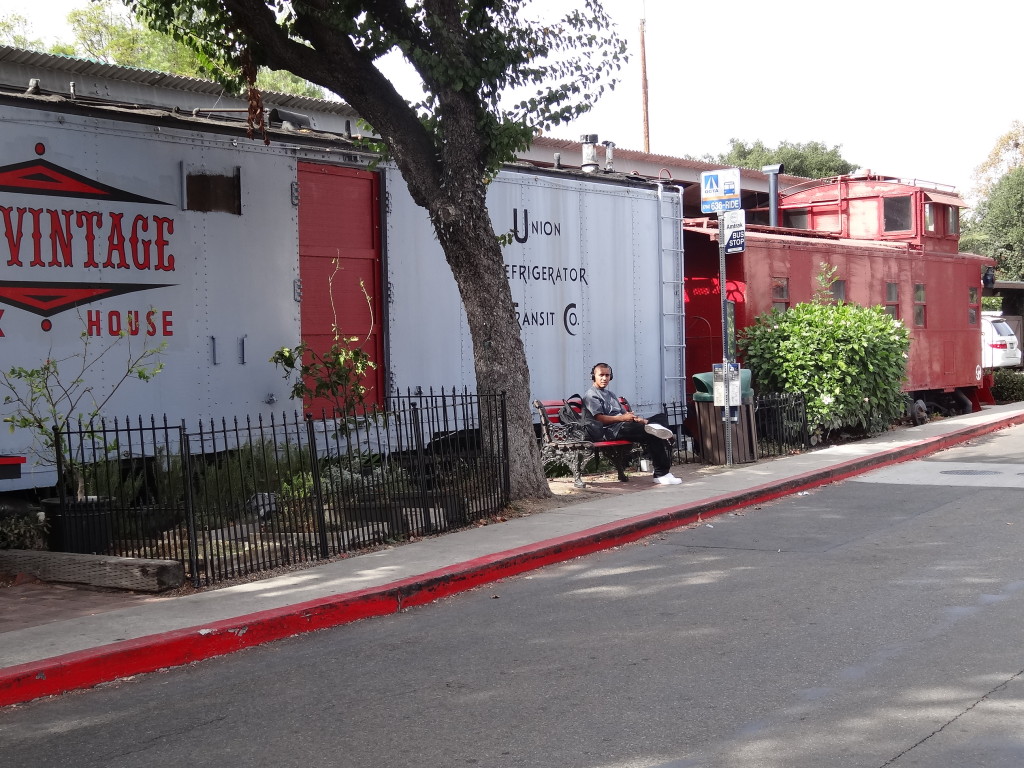 The Sparrow Returns to Capistrano | From A Bird's Eye View