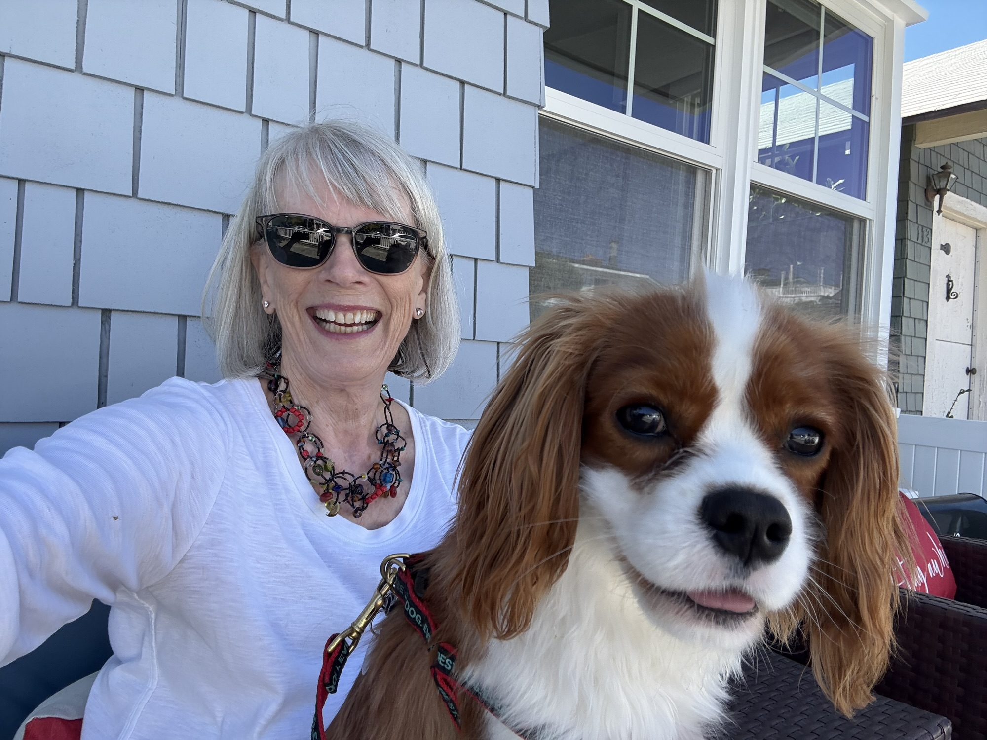THE MAYOR OF BALBOA | From A Bird's Eye View